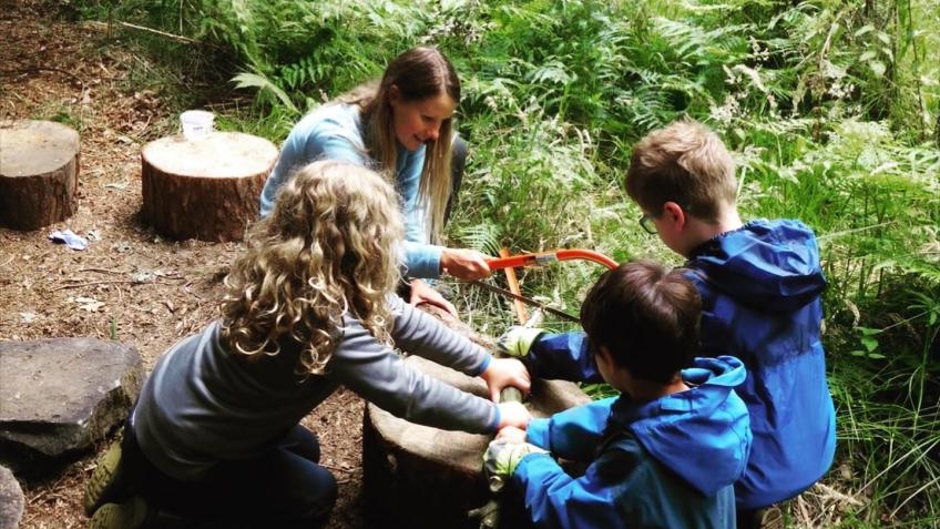 BEE Forest School - a Community crowdfunding project in Sheffield by ...