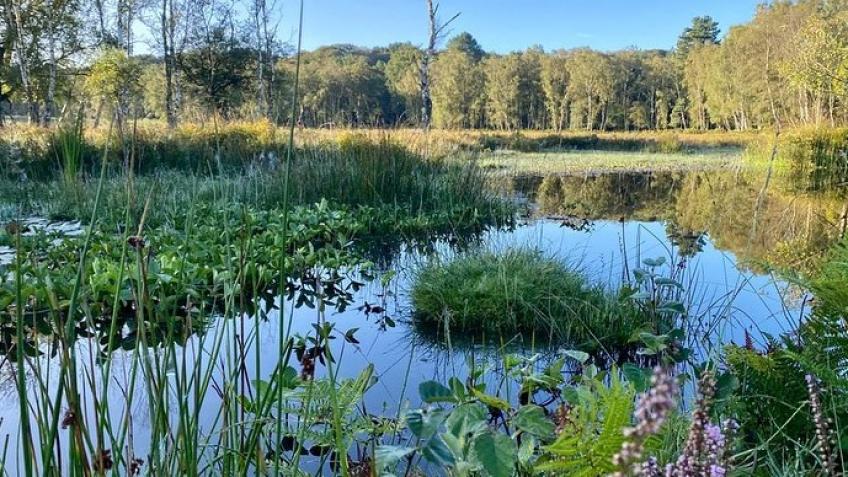 Building the Freshwater Network - a Environment crowdfunding project in ...