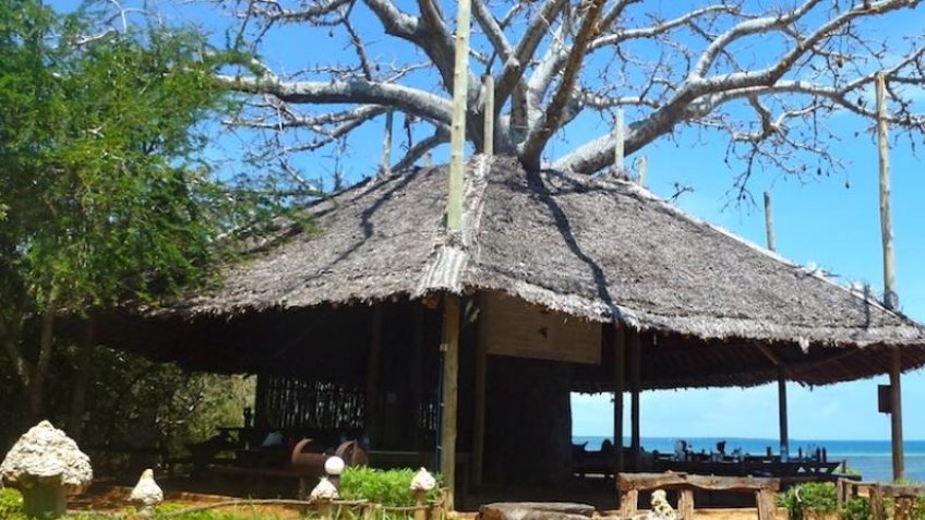 Camps International Expedition to Tanzania 2017 - a Schools ...