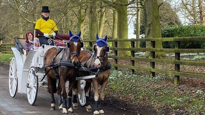 Carriage Driving for our Community - a Community crowdfunding project ...