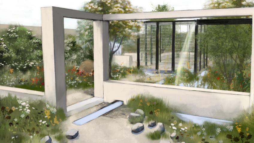 Chelsea Flower Show - Infected Blood Scandal - a Creative & Arts ...