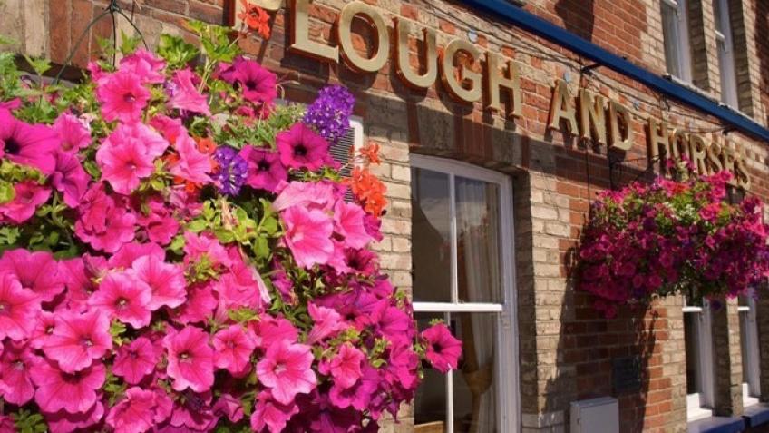 Chris Bick Landlord of the Plough & Horses - a Personal Causes ...
