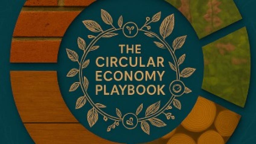 The Circular Economy Playbook - a Business crowdfunding project in ...