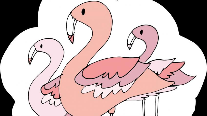 Climbing Arthur's Seat for Flamingo Chicks - a crowdfunding project in ...
