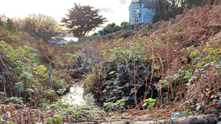 Coastal Rivers - a Environment crowdfunding project in United Kingdom ...