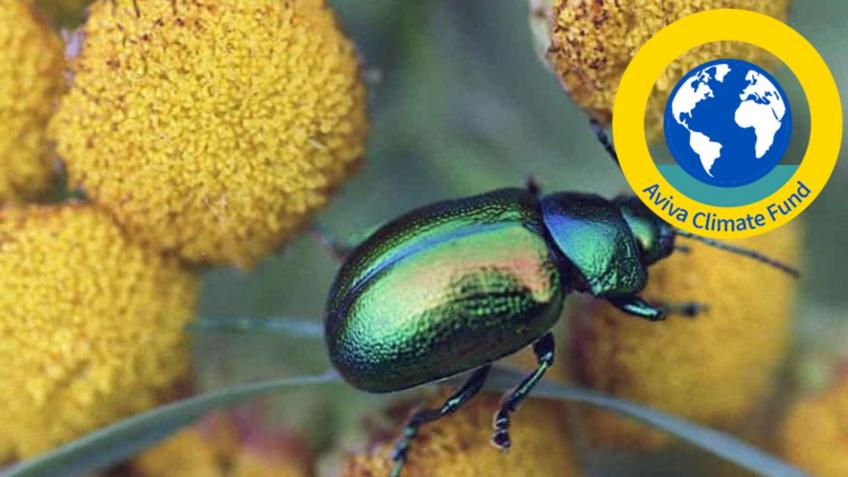 Cool Bugs UK - a Charities crowdfunding project in Nottingham by The ...