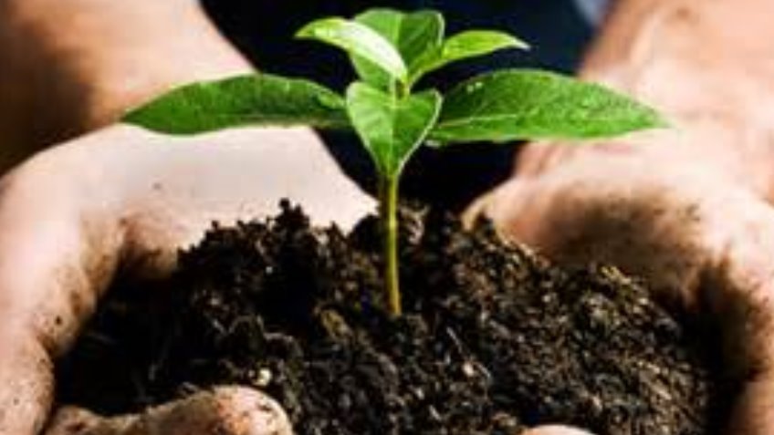 Costa Rica and Nicaragua Conservation Work - a crowdfunding project in ...