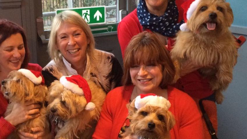 Charity Dog Events - a Personal Causes crowdfunding project in Kingston ...