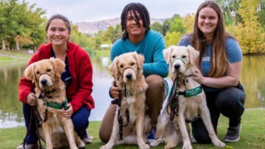 Donate to guide dogs for the blind - a Charities crowdfunding project ...