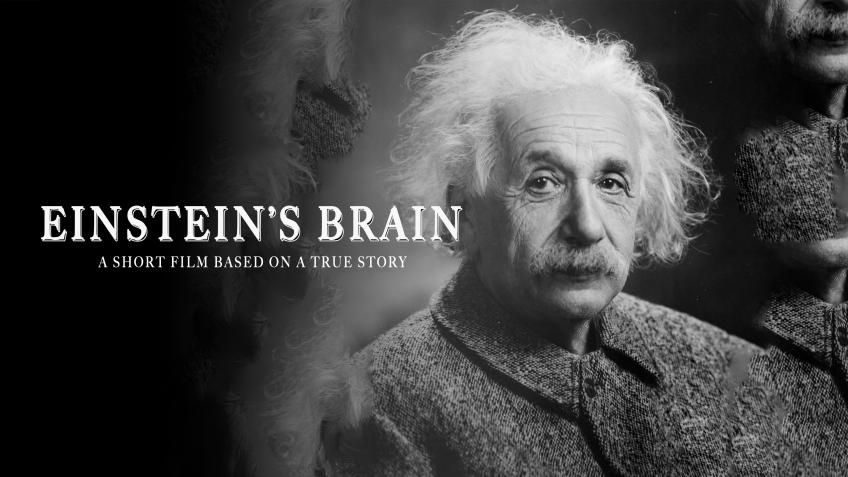 EINSTEIN'S BRAIN - Short Film - a Film and Theatre crowdfunding project ...