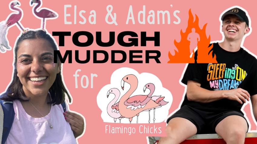Elsa & Adam's Challenge for Flamingo Chicks - a crowdfunding project in ...