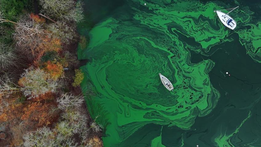 Final Push To End Sewage Pollution in Windermere - a Environment ...