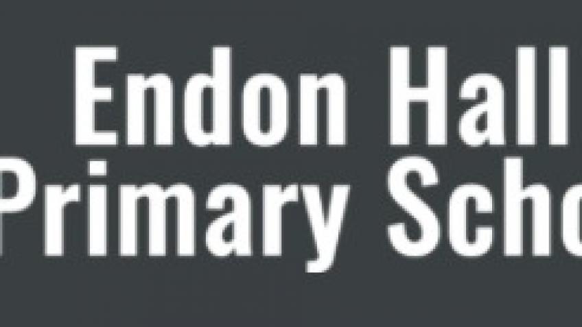 The Endon Hall Primary School Fundraiser - a Sports crowdfunding ...