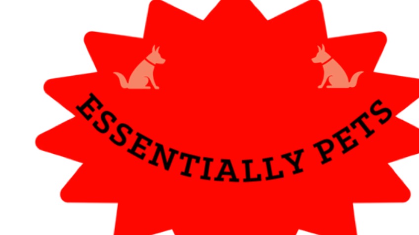 Essentially Pets - a Business crowdfunding project in Harrogate by ...