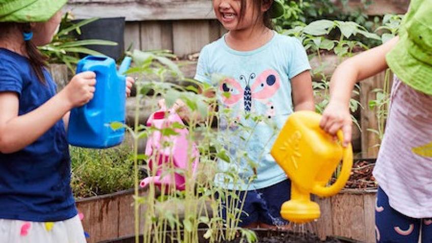 Food Warriors Community Garden - a Community crowdfunding project in ...