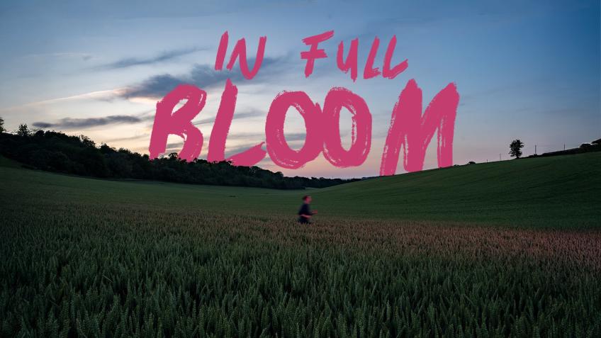 Help bring the film In Full Bloom to Life in Italy - a Creative & Arts ...