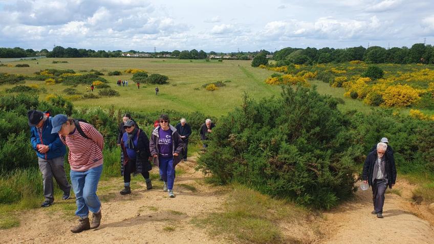 Protect Middlewick - A Test Case for Nature - a Environment ...
