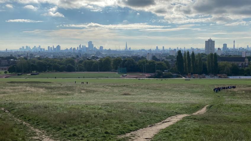Hampstead Heath Hedgerow Heroes - a Environment crowdfunding project in ...