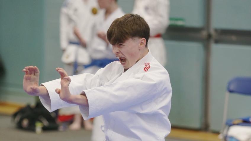 Harrison’s 2025 Karate Competition Fund - a Sports crowdfunding project ...
