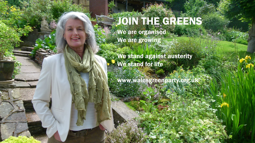 Help Elect Pippa Bartolotti MP - a Politics crowdfunding project in ...