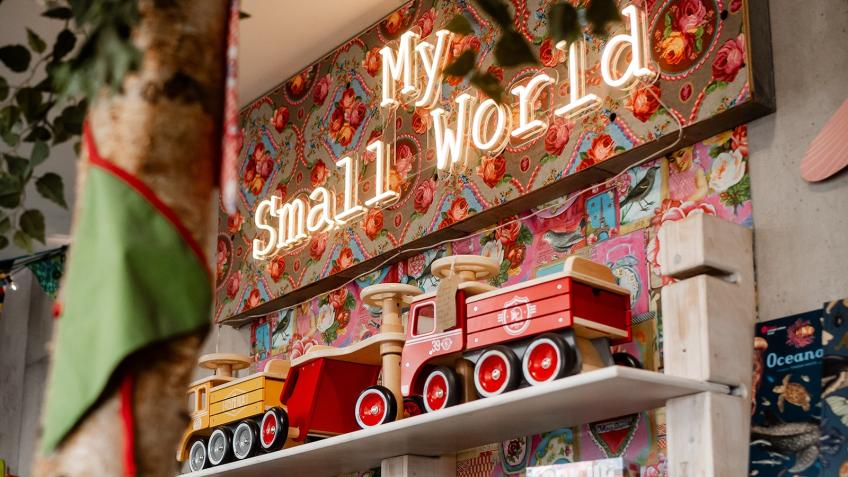 Help My Small World Toy Store Grow Up! - a Retail crowdfunding project ...