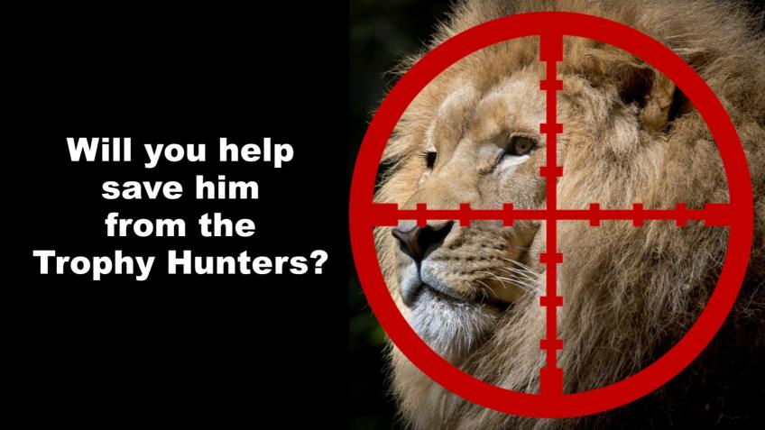 Help our investigators EXPOSE trophy hunting! - a Personal Causes ...