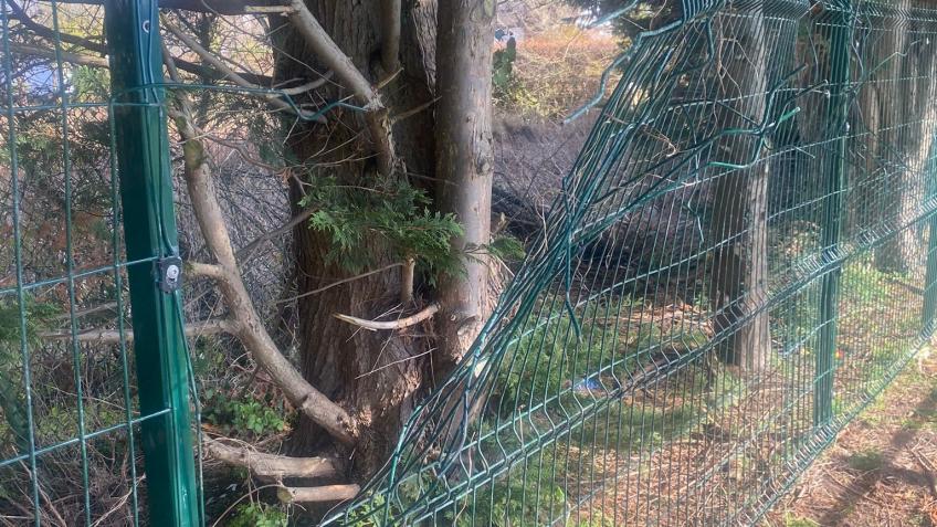 Replace Damaged Fencing - a Community crowdfunding project in Wirral by ...