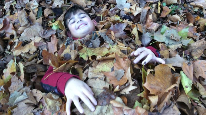 Hugh Myddelton Forest School - a Environment crowdfunding project in ...