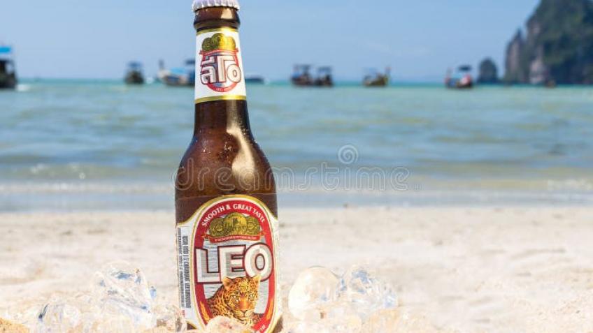Joe Cartoons holiday hedonism fund - a Food and Drink crowdfunding ...