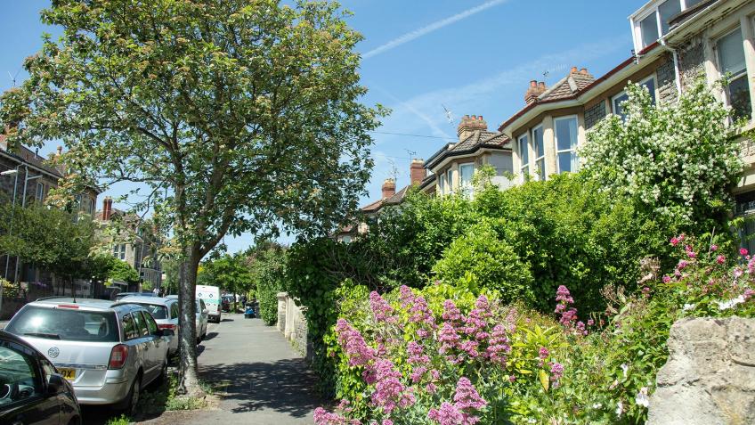 Tree planting to Keep Bristol Cool - a Environment crowdfunding project ...