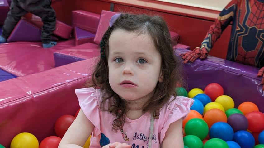 Kitty's 5th Birthday - a Charities crowdfunding project in Leeds by ...