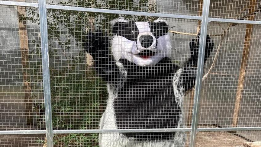 Laura's Sponsored Lock In - a Charities crowdfunding project in ...