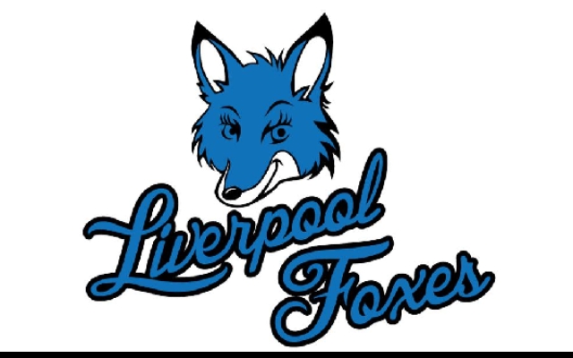 The Liverpool Foxes do the 10k - a crowdfunding project in Liverpool by ...