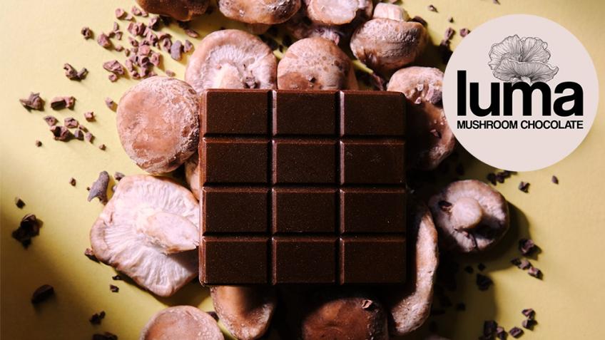 luma mushroom - a new kind of chocolate - a Food and Drink crowdfunding ...