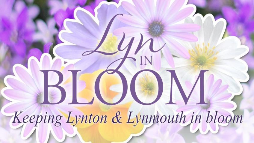 Lyn in Bloom 2021 - a Community crowdfunding project in Lynton by Jason ...