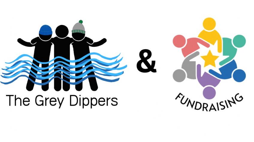 Megan’s Space & The Grey Dippers Polar Plunge - a Personal Causes ...