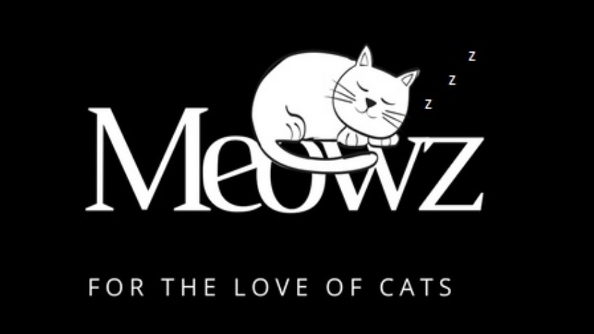 Meowz - For The Love Of Cats - a crowdfunding project in Norwich by Tiffany