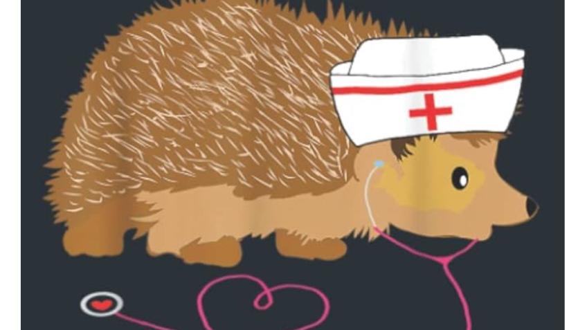MIDLOTHIAN HEDGEHOG RESCUE AND REHABILITATION - a Environment ...