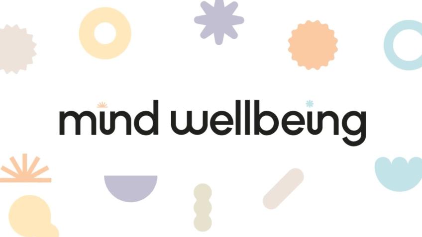 Mind Wellbeing - Lets make prevention the priority - a Schools ...