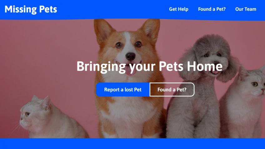 Missing Pets | Finding Lost Pets - a Community crowdfunding project in ...
