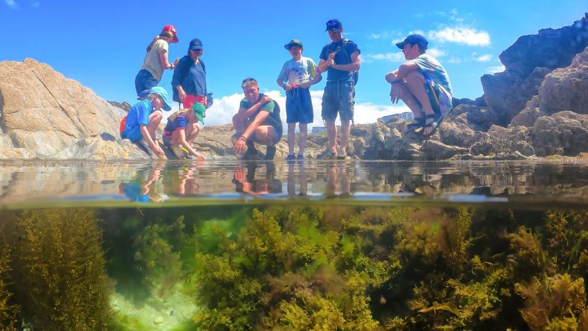 Newquay Wild Activities - a Community crowdfunding project in Newquay ...