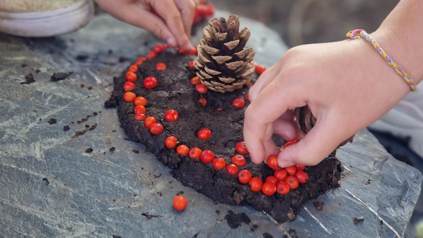 Ormsgill Community Wildlife Garden - a Community crowdfunding project ...