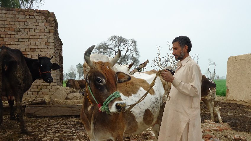 pakistan charity - a Community crowdfunding project in Samote by ...