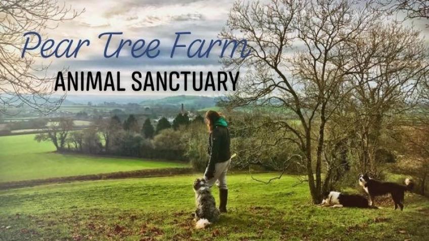 Pear Tree Farm Animal Sanctuary - a Community crowdfunding project in ...