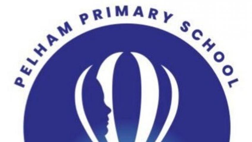 The Pelham Primary School Fundraiser - a Community crowdfunding project ...