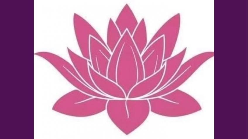 Resolute Womens Support Services - a Community crowdfunding project in ...