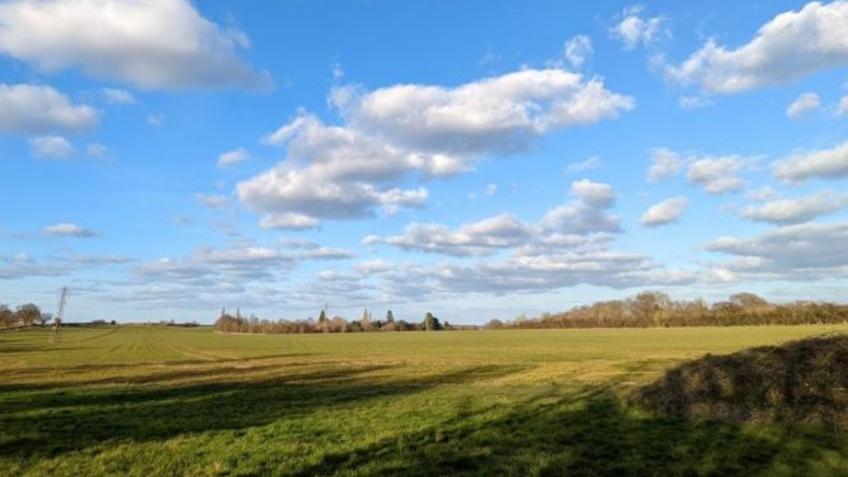 Save Maldon Hall Farm from Development - a Community crowdfunding ...