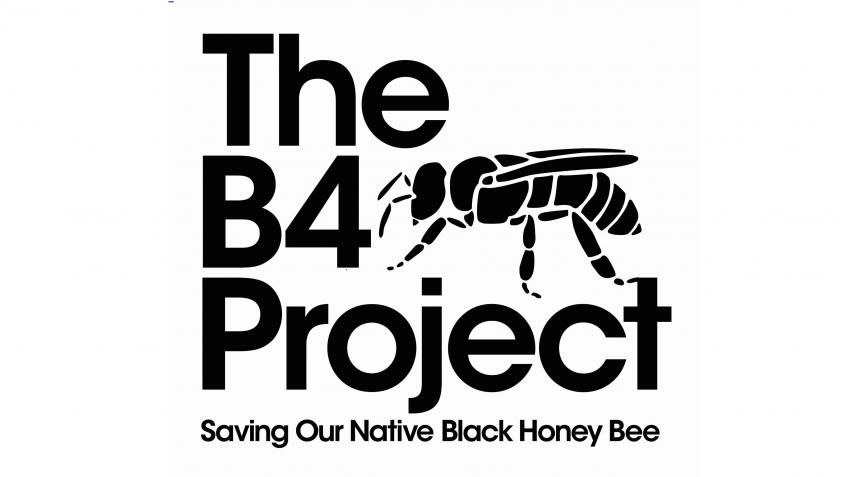 Saving our Native Honey Bee in Cornwall. - a Environment crowdfunding ...