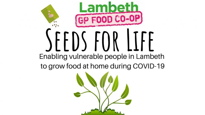 Seeds for Life - a Community crowdfunding project in London by Lambeth ...