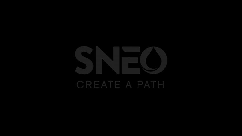 Sneo- Sneaker accessories brand - a Retail crowdfunding project in ...
